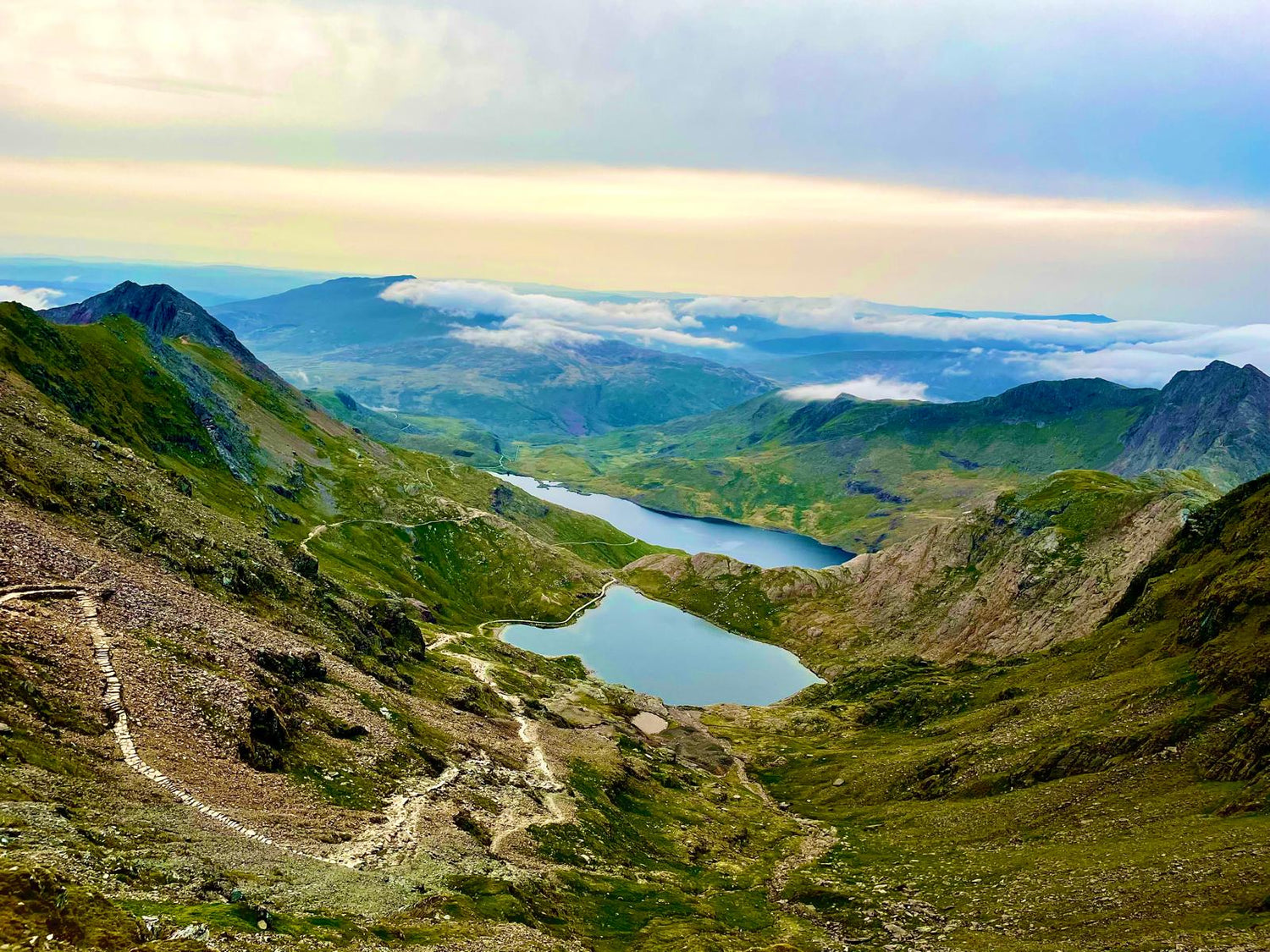 Fido's Trails | High-Quality Dog Gear, Discover Explore Wag With Us.